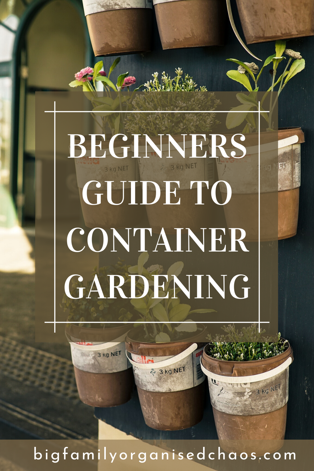 Container gardening for Beginners