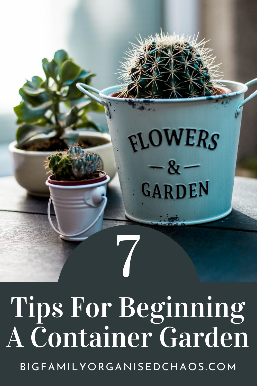 Container gardening for Beginners