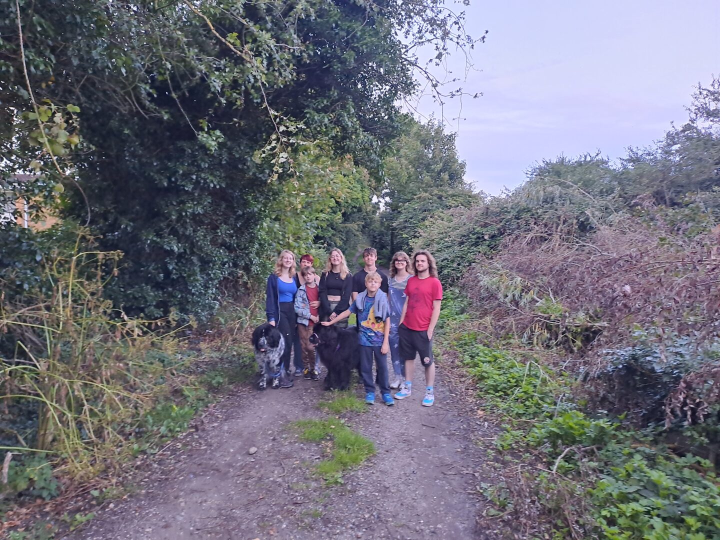 Norfolk Family Life New Name New Direction